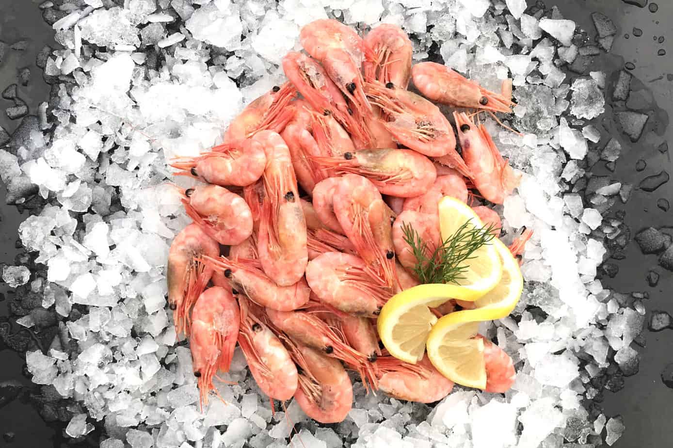 Rejer | Klik og bestil rejer her | 100% danske og bæredygtige