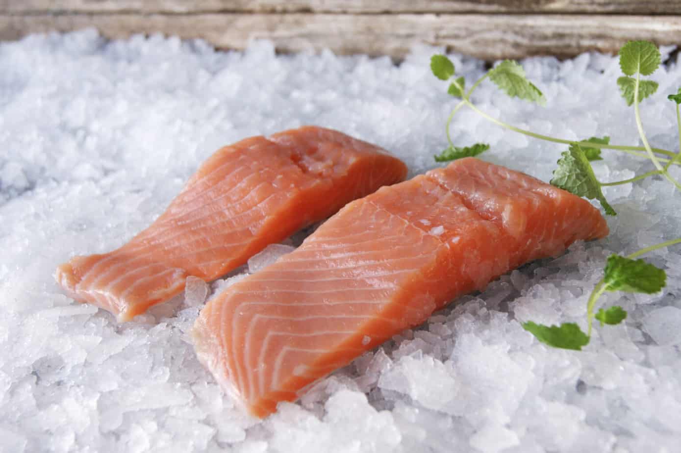 Fersk fisk » Køb fersk fisk direkte fra Vesterhavet » Thorupstrand